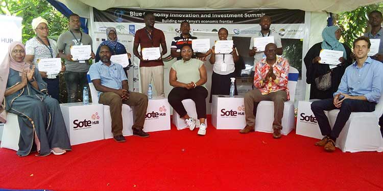 SMEs receive training to tap into the Blue Economy – FREIGHT LOGISTICS ...